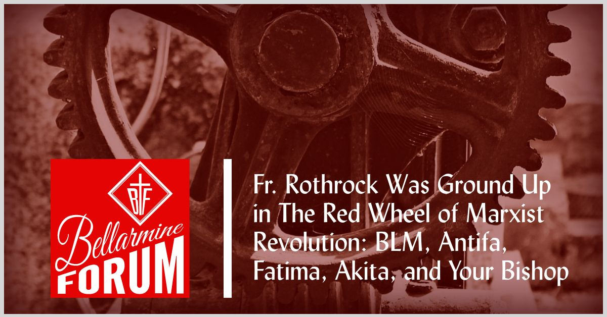 Fr. Rothrock Was Ground Up in The Red Wheel of Marxist Revolution: BLM ...