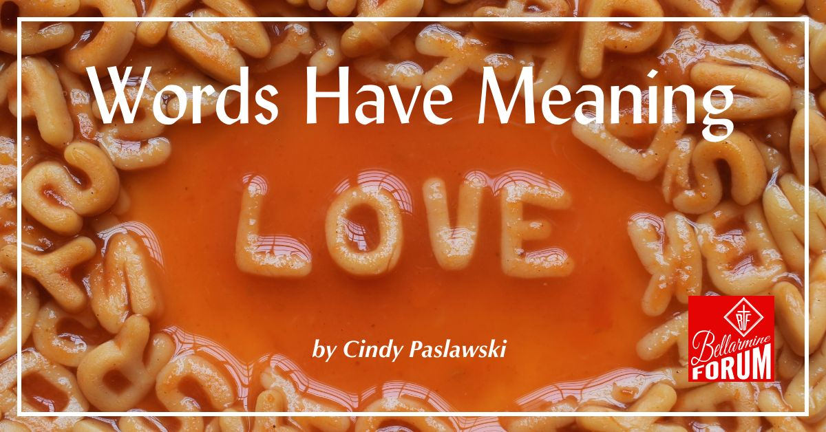 Words Have Meaning - The Bellarmine Forum